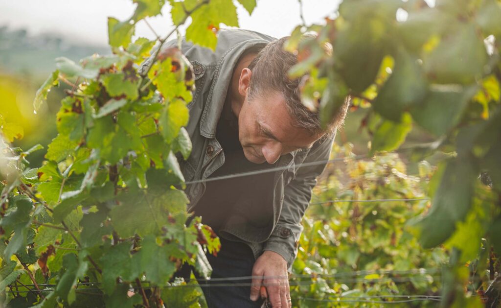 Solexia : Investissement Entrepreneurial Responsable